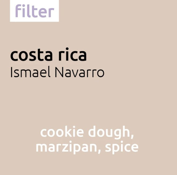 Rum Baba - Costa Rica Ismael Navarro - metody przelewowe - kawa ziarni ...